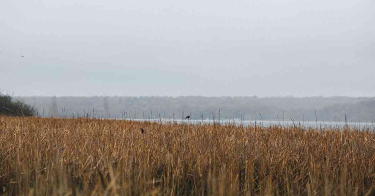 Is Madison Tap Water Safe to Drink? - 2022
