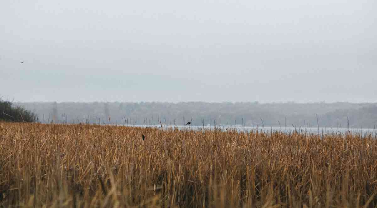 Is Madison Tap Water Safe to Drink? - 2022