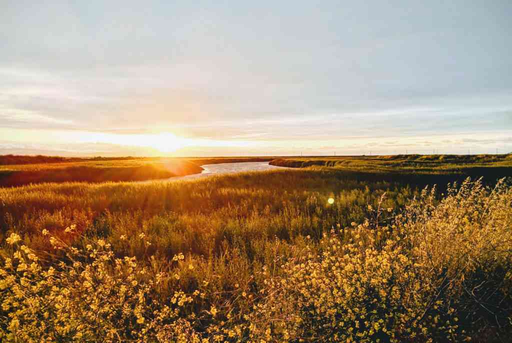 Is Sunnyvale Tap Water Safe to Drink? - 2022